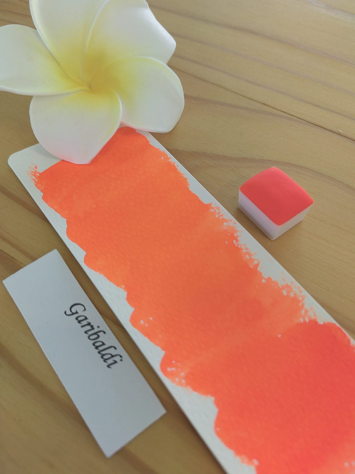 Garibaldi | Astral Ocean Watercolours